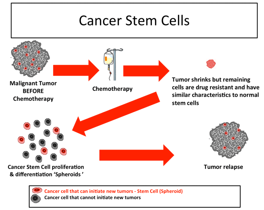Beljanski’s Green Tea - The Beljanski Foundation
