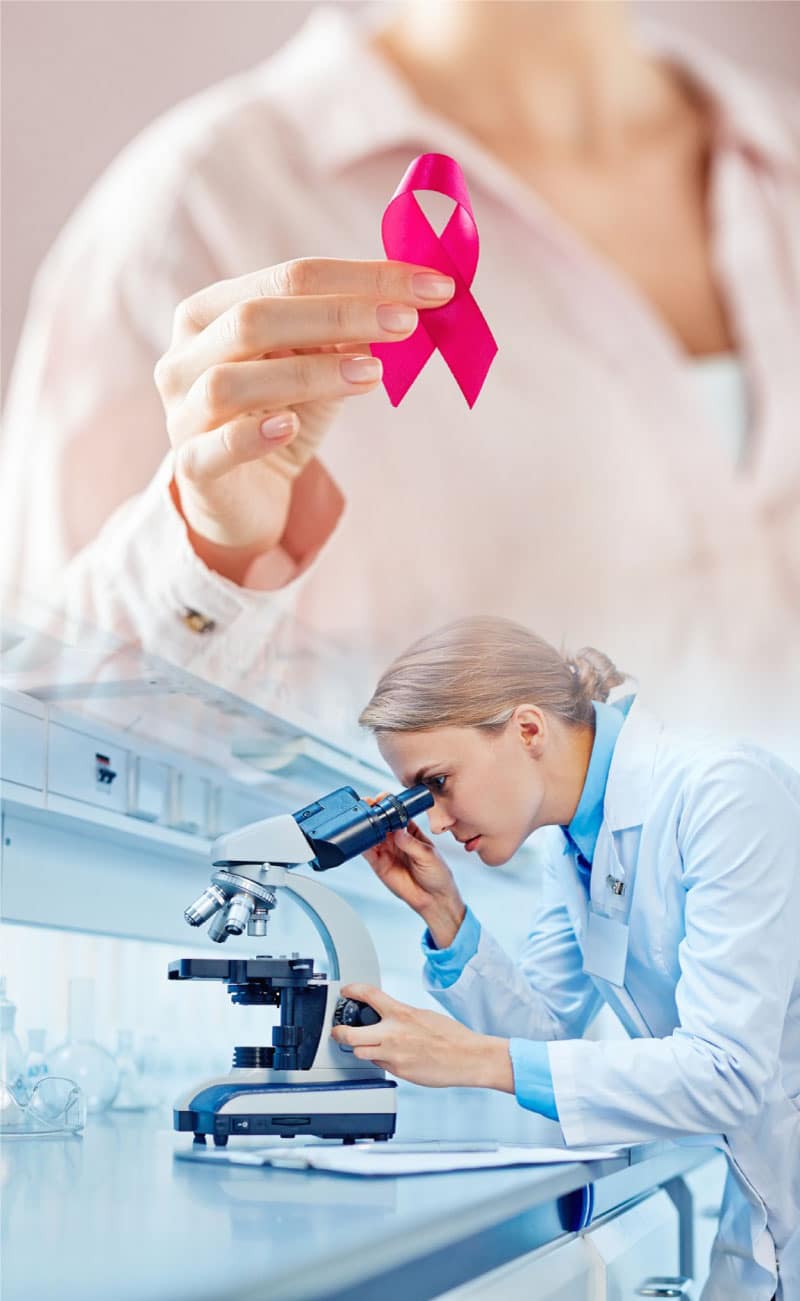Breast Cancer Stem Cells Research - The Beljanski Foundation