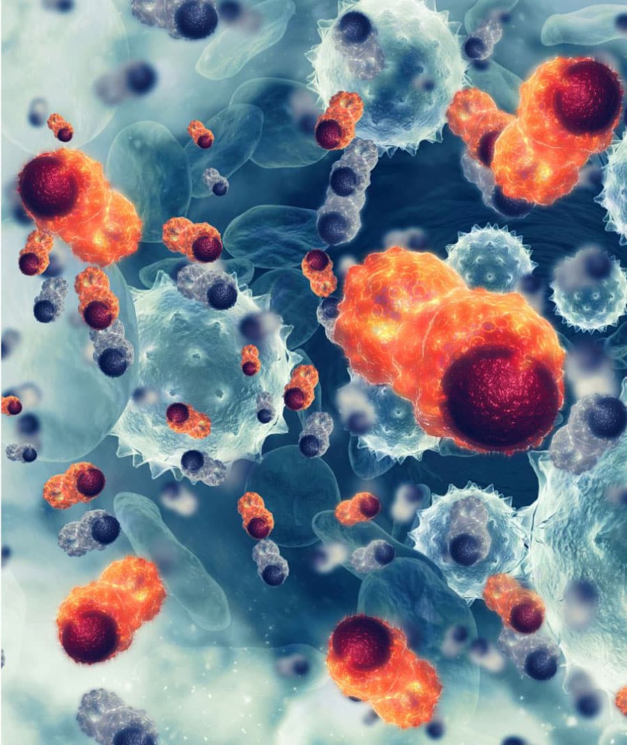 Breakthroughs in Natural Approaches To Breast Cancer - The Beljanski ...
