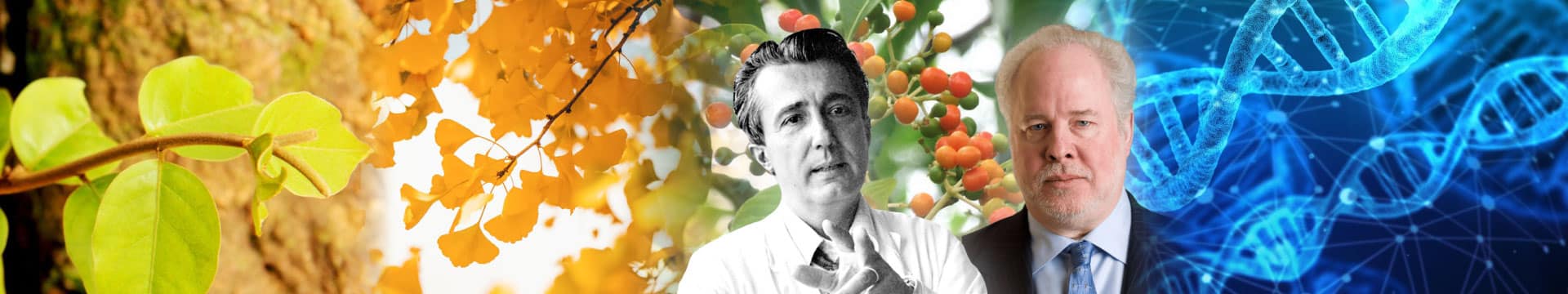 A Natural Approach to Cancer - The Beljanski Foundation